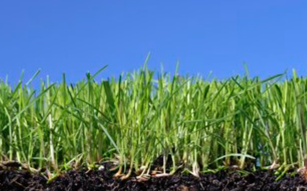 All About Fall Lawn Fertilizing - La Porte County Extension Master ...